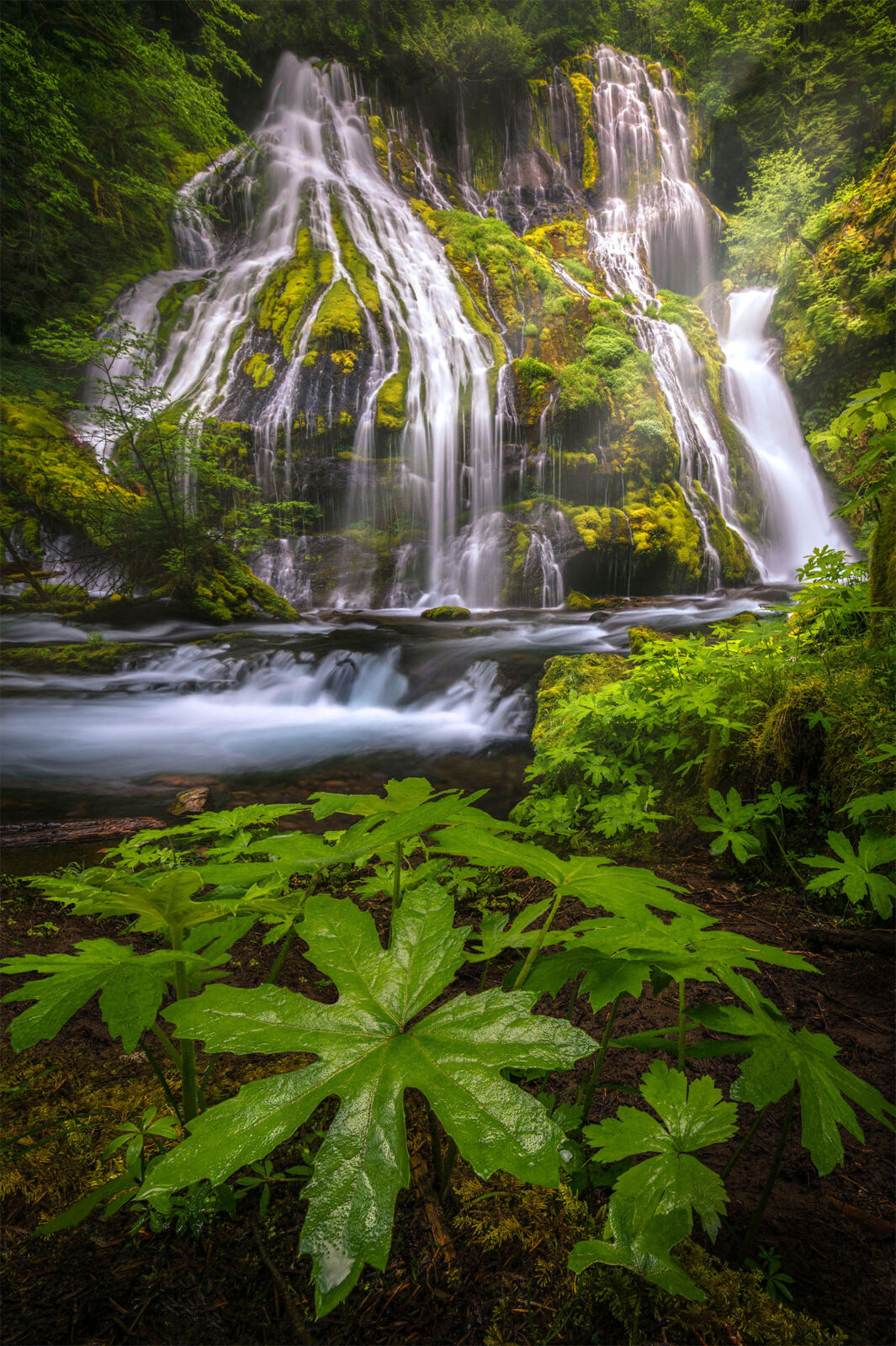 SPRING FALLS | Seascapes & Waterfalls | Marlon Holden Fine Art