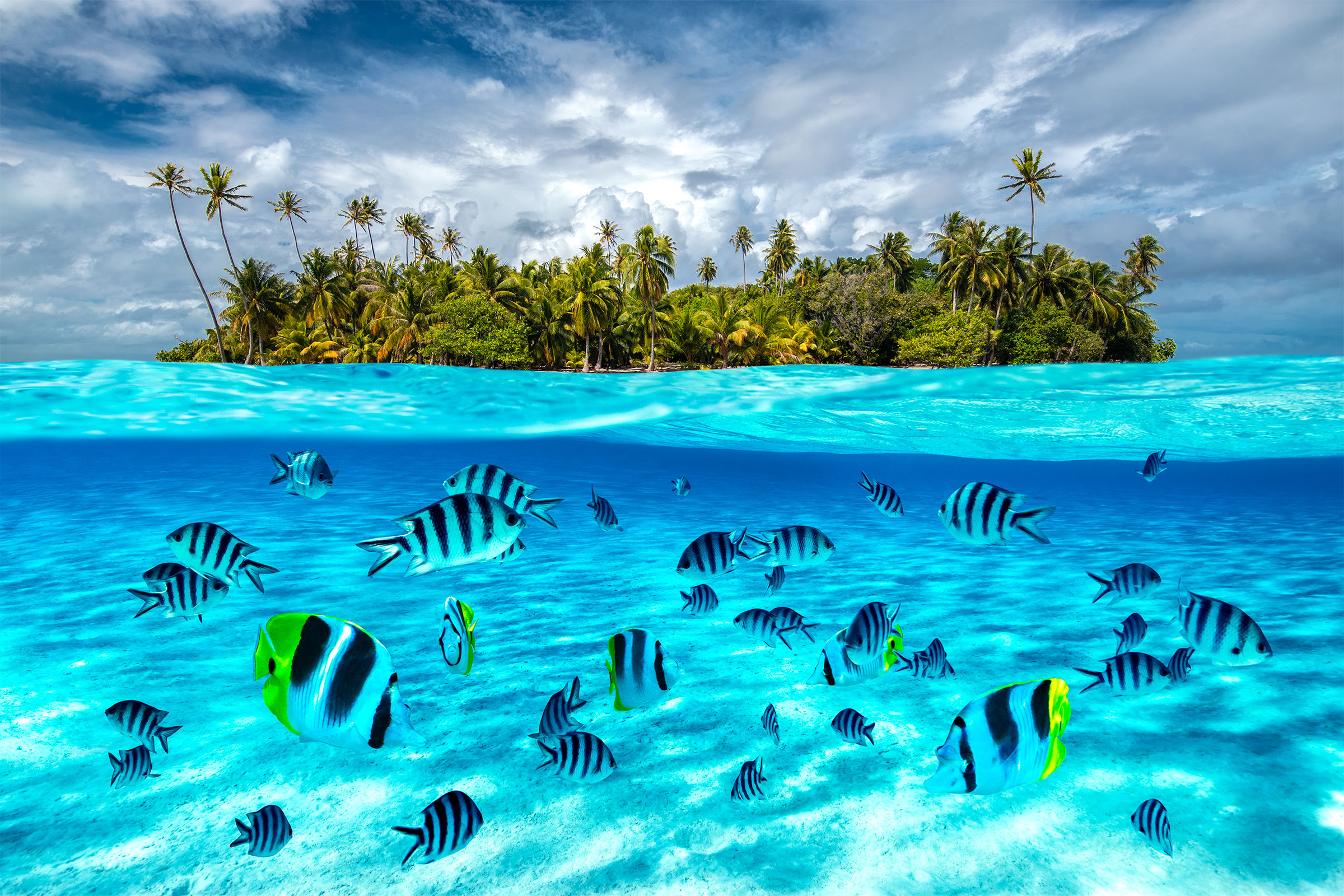 Ocean Delight | Bora Bora | Marlon Holden Fine Art
