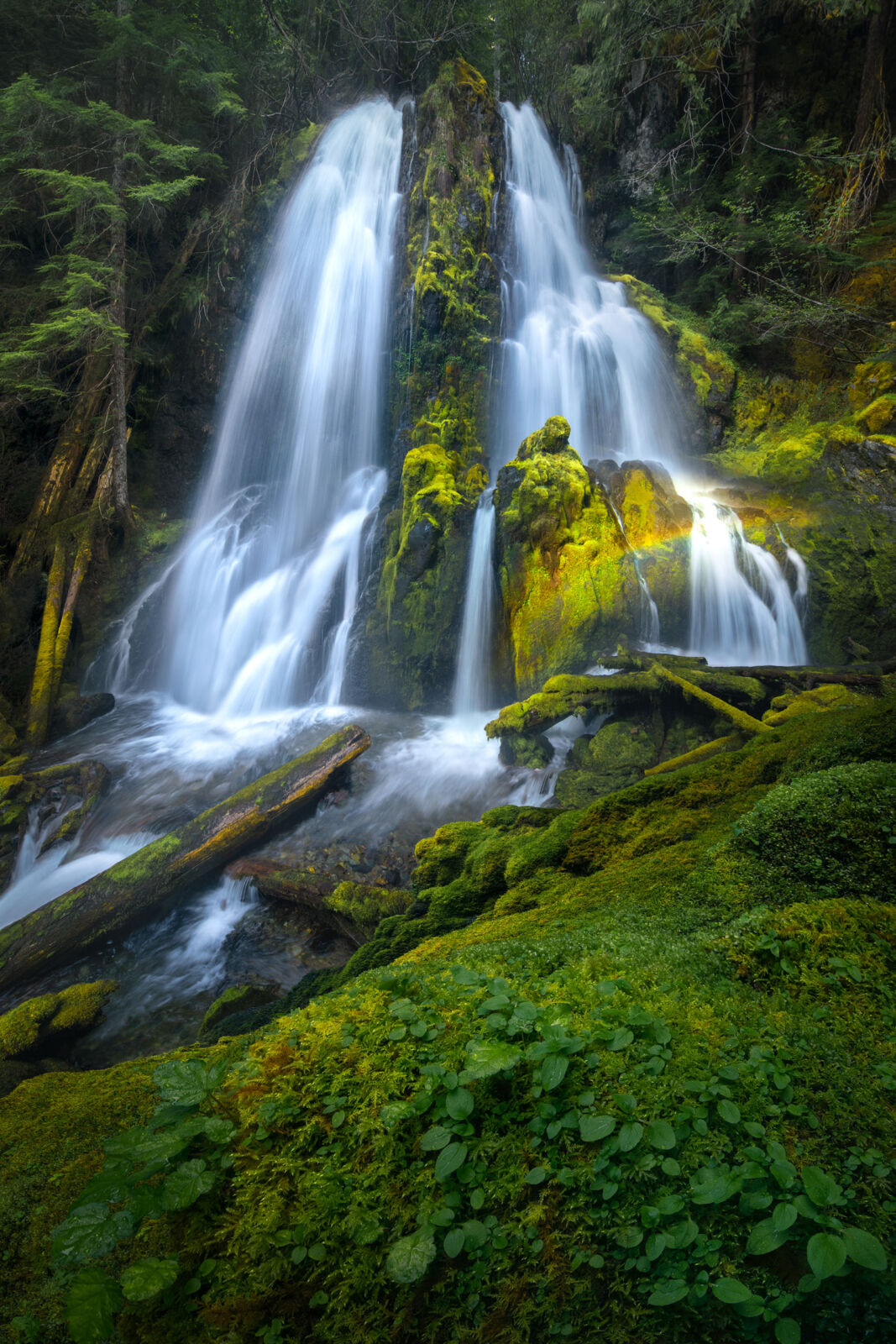 Hallowed Falls | Seascapes & Waterfalls | Marlon Holden Fine Art